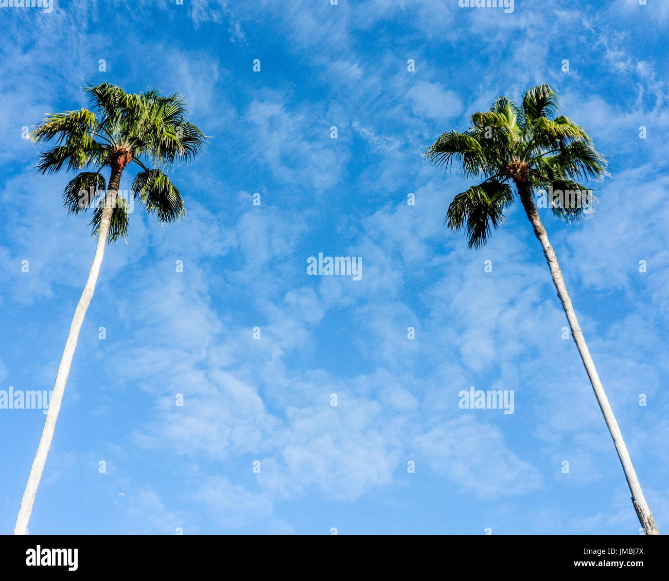 Piraten beach club -Fotos und -Bildmaterial in hoher Auflösung – Alamy