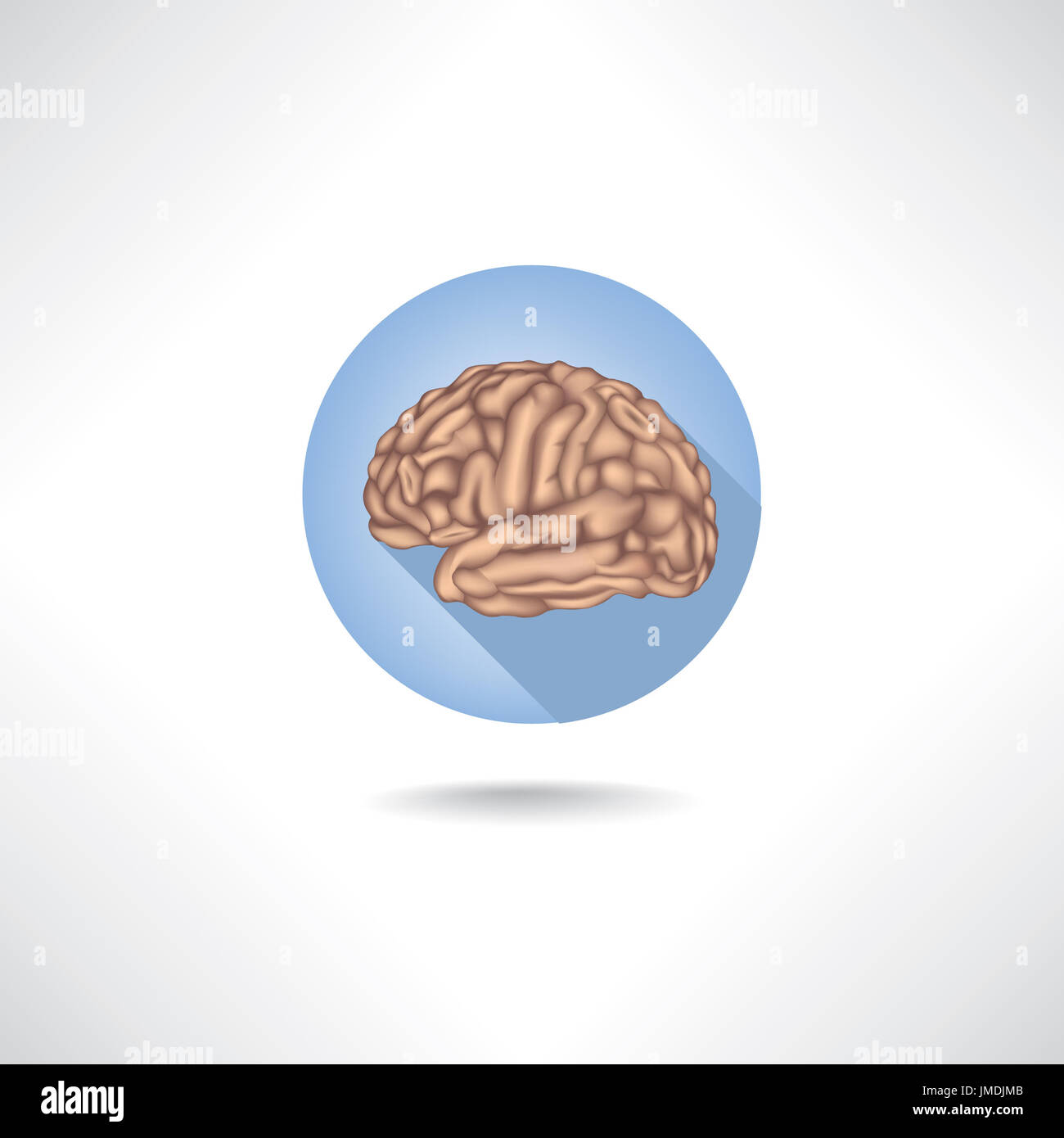 Human Brain Symbol Icon Vector Stockfotos und -bilder Kaufen - Alamy