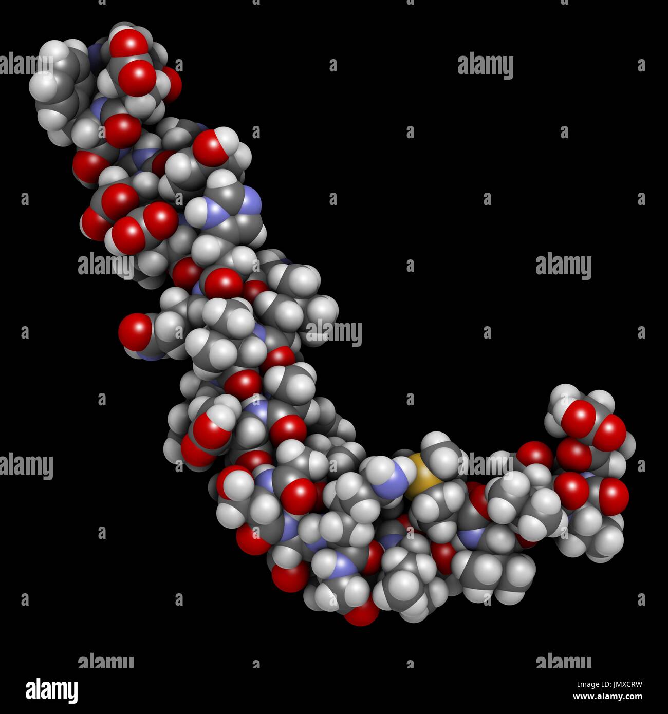 Amyloid beta peptid -Fotos und -Bildmaterial in hoher Auflösung – Alamy