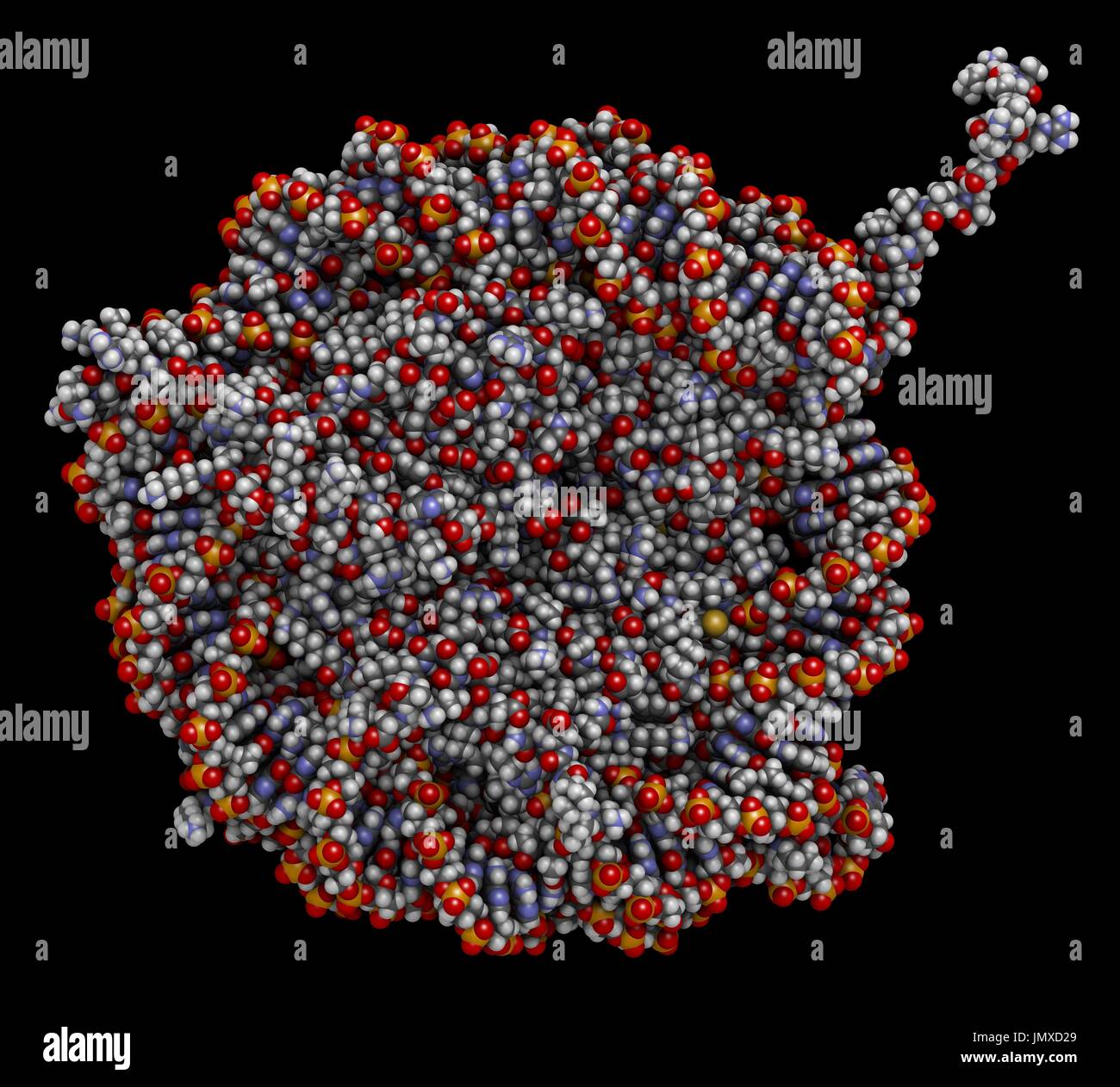 Space filling model dna -Fotos und -Bildmaterial in hoher Auflösung – Alamy