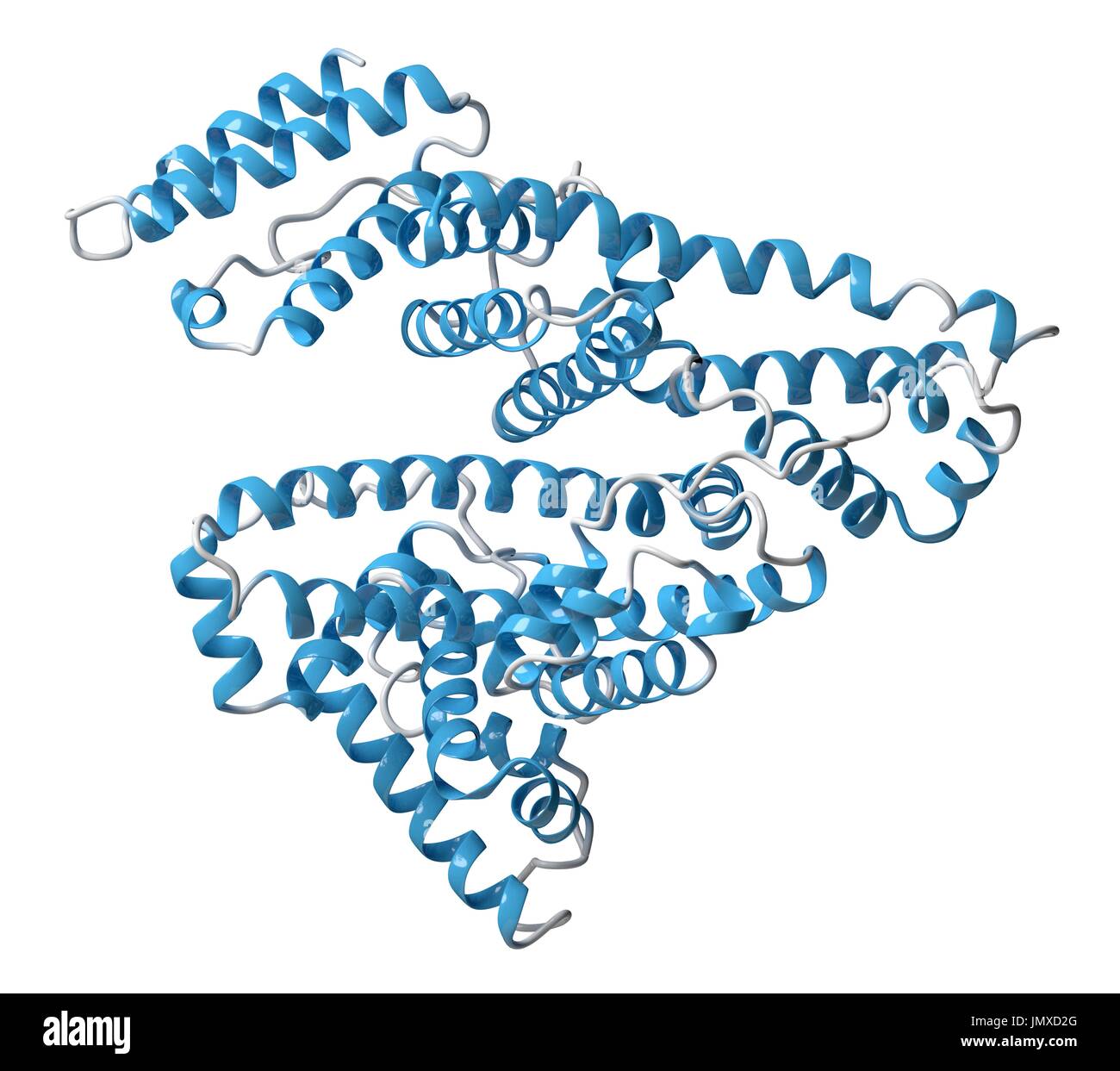 Menschlichen Serum Albumin (HSA) Protein. Häufigste Protein im ...