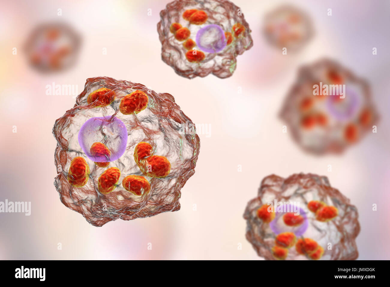 Hautgeschwür bei leishmaniose -Fotos und -Bildmaterial in hoher ...