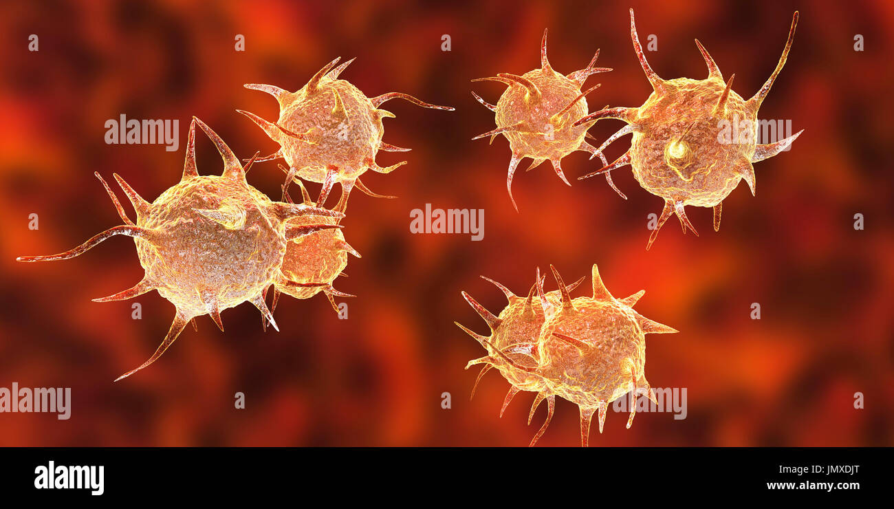 Pathogene mikroorganismen -Fotos und -Bildmaterial in hoher Auflösung ...