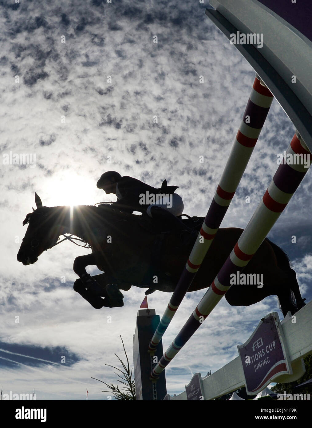 Internationaler springreiter -Fotos und -Bildmaterial in hoher ...