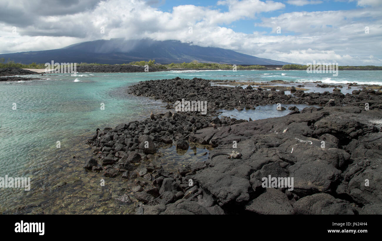 Paisaje galapagos -Fotos und -Bildmaterial in hoher Auflösung – Alamy
