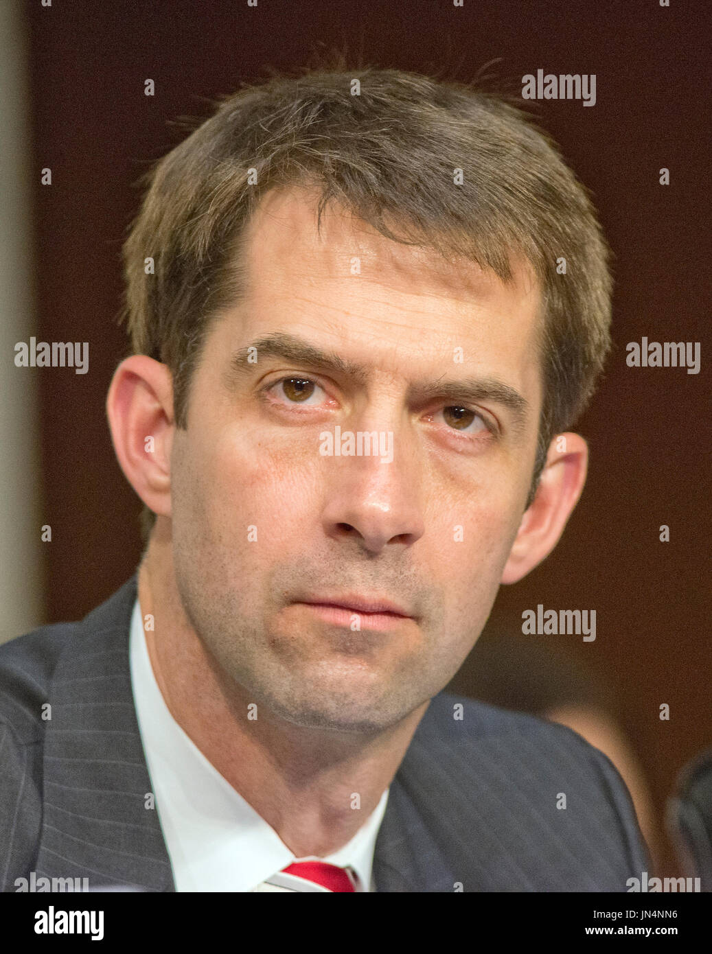 Vereinigte Staaten Senator Tom Cotton (Republikanische of Arkansas ...
