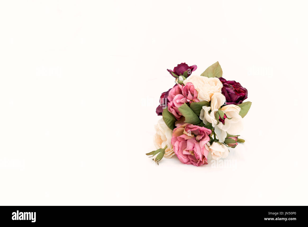 Beste rosen -Fotos und -Bildmaterial in hoher Auflösung – Alamy