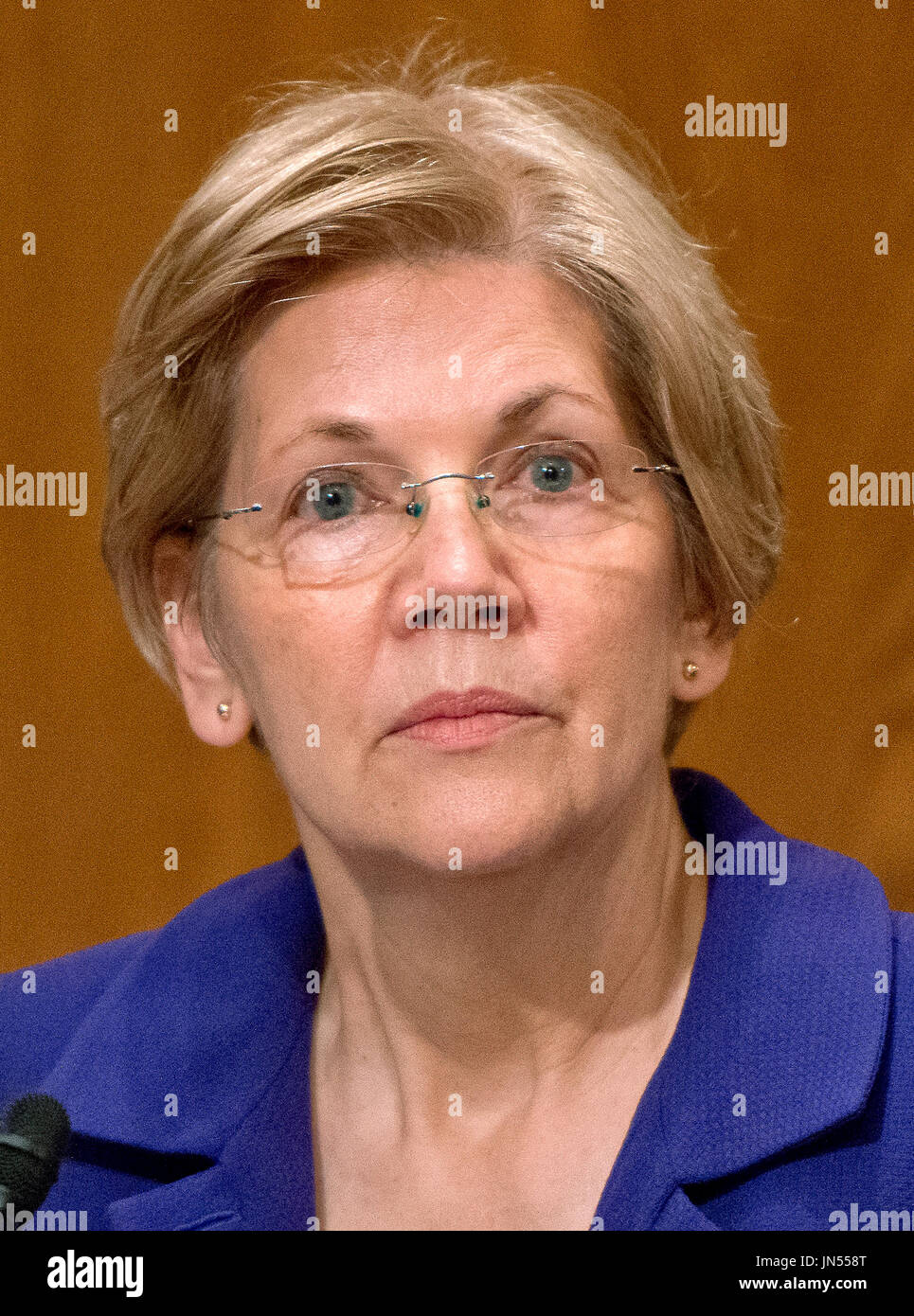 Vereinigte Staaten Senator Elizabeth Warren (Demokrat von Massachusetts ...
