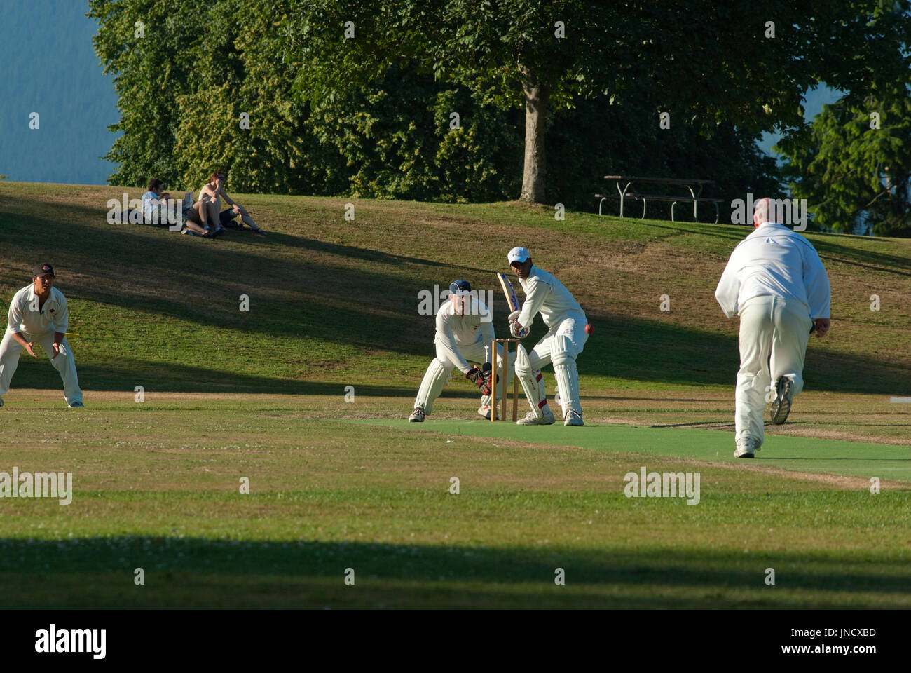 Stanley park cricket -Fotos und -Bildmaterial in hoher Auflösung – Alamy