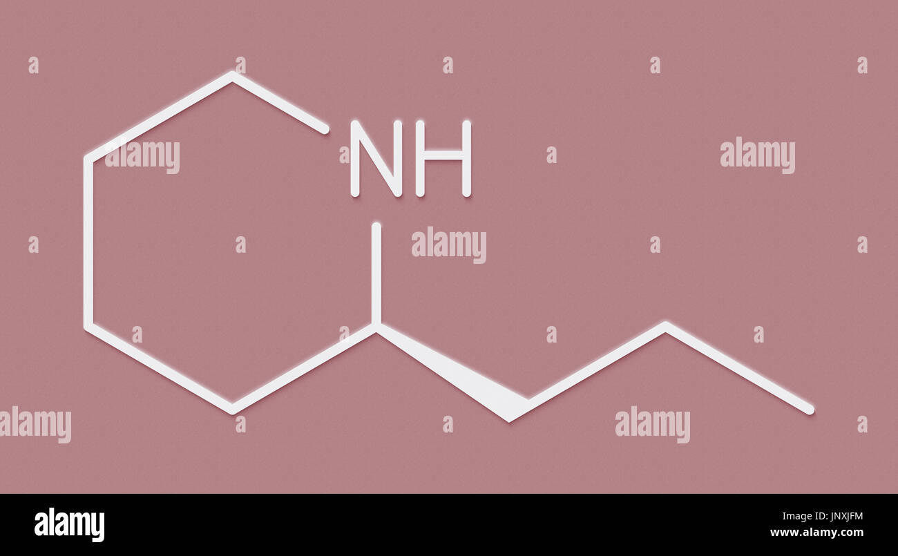 Coniine pflanzliches Toxin Molekül. Präsentieren Sie in Poison ...
