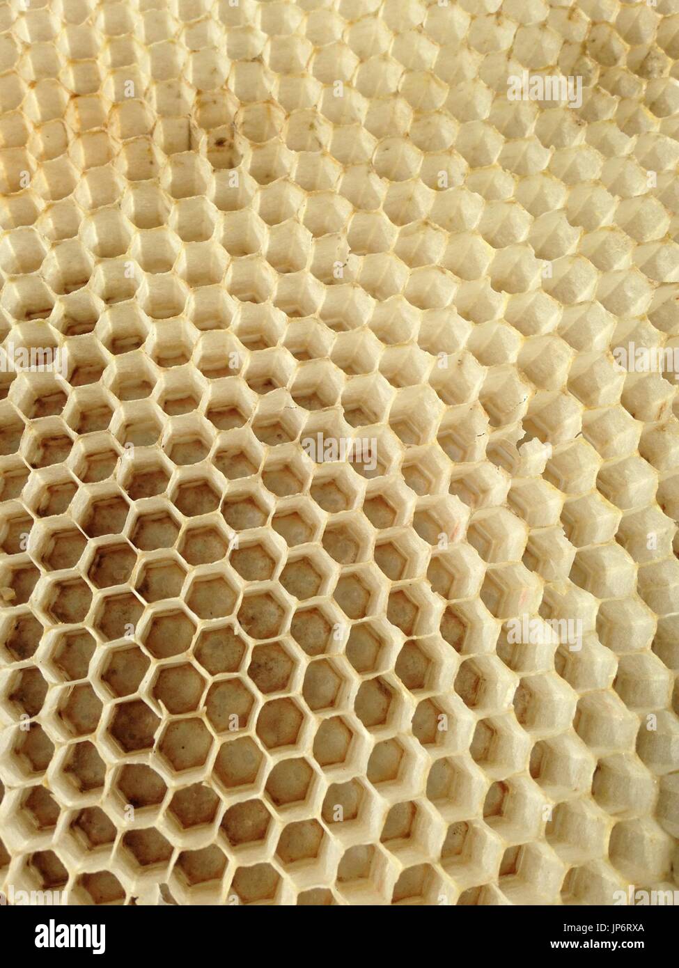 Honigwaben Waben Bienenwachs Wachs Bienenstock Stockfotos und -bilder ...