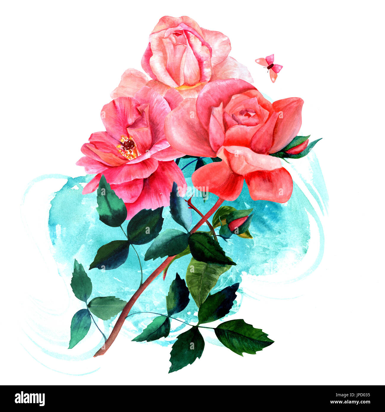 Aquarell Zeichnung Bouquet von roten und rosa Rosenblüten, Hand im Stil ...