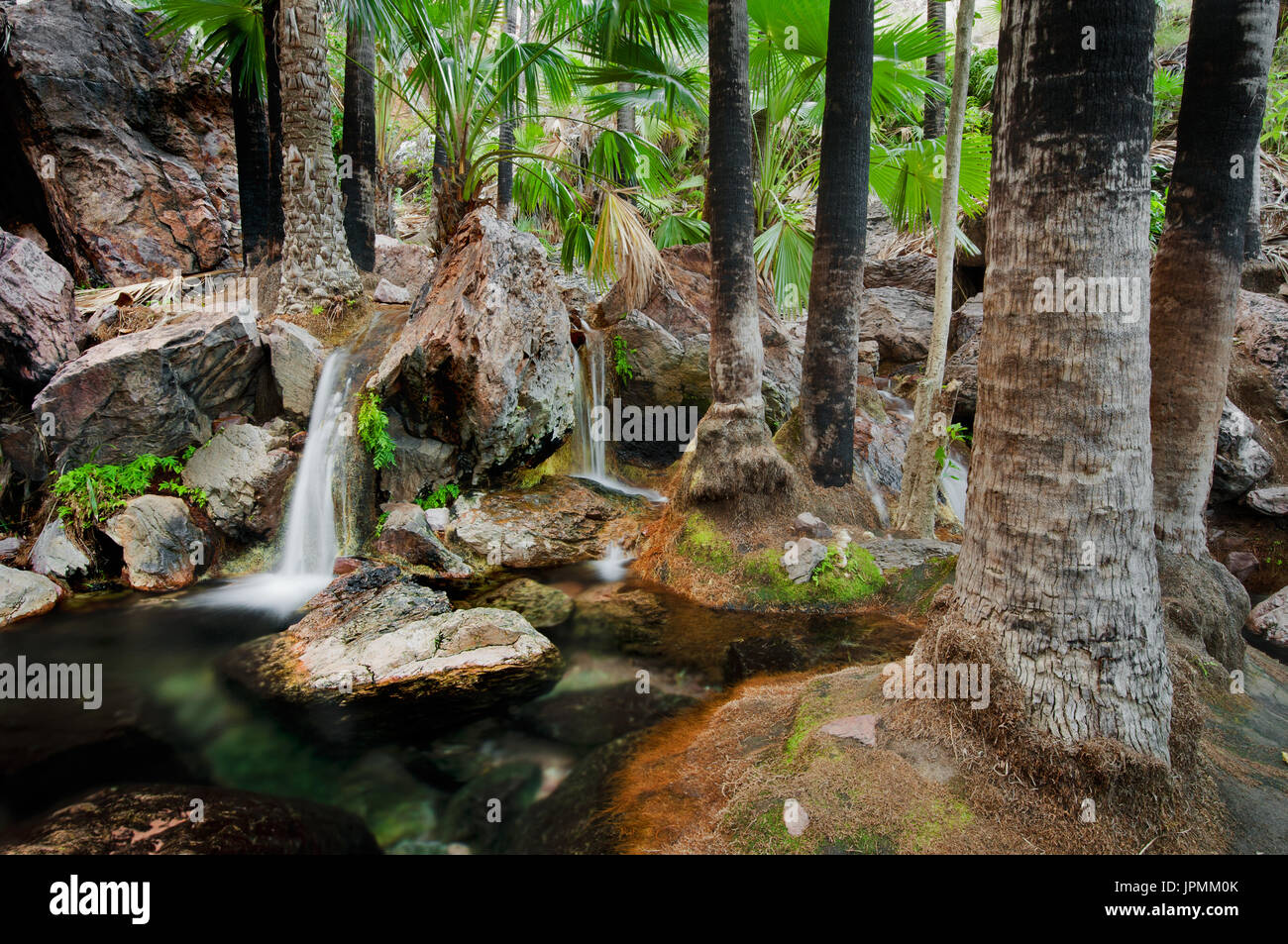 Zebedee springs -Fotos und -Bildmaterial in hoher Auflösung – Alamy