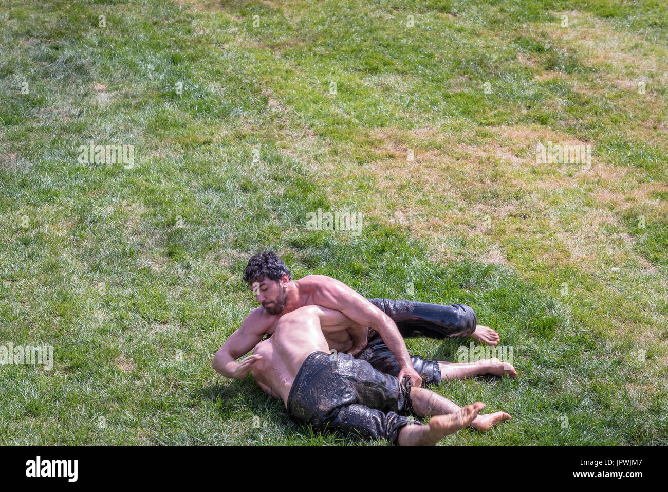 Olive oi -Fotos und -Bildmaterial in hoher Auflösung – Alamy