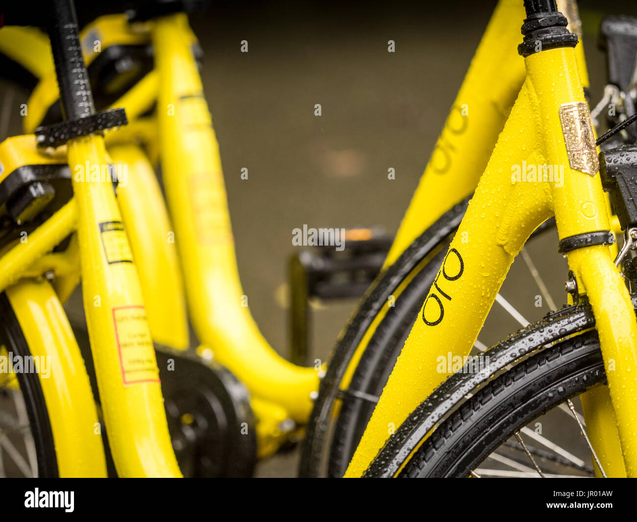 Ofo cycle sharing schema -Fotos und -Bildmaterial in hoher Auflösung ...