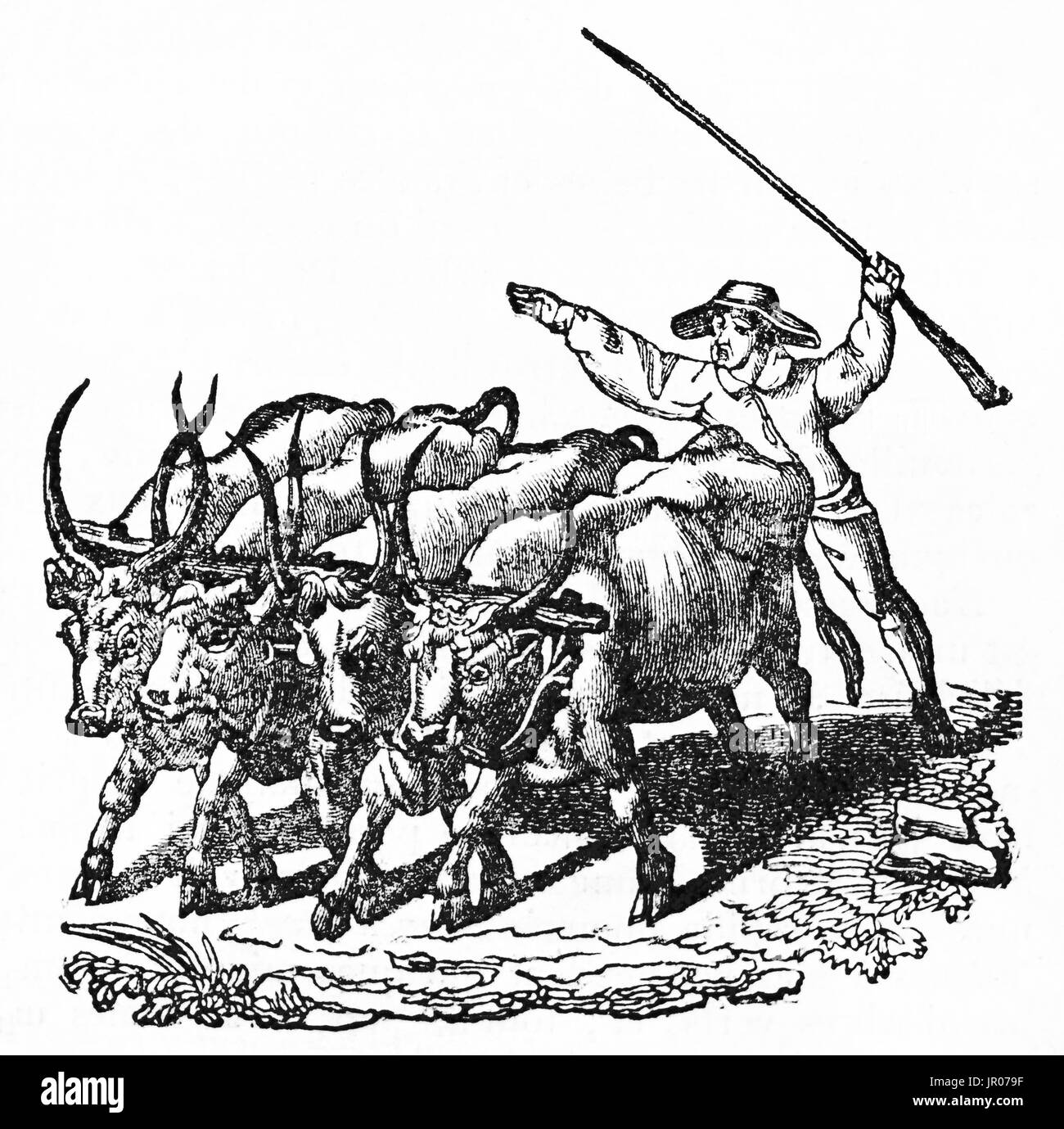 Ochsenjoch altertum -Fotos und -Bildmaterial in hoher Auflösung – Alamy