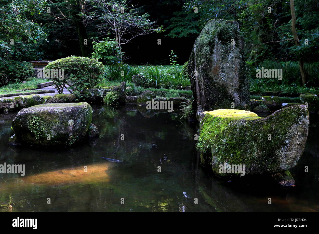Eine dekorative, Koi-Teich im Serigaya Park in Machida, Tokyo, Japan Stockfotografie - Alamy