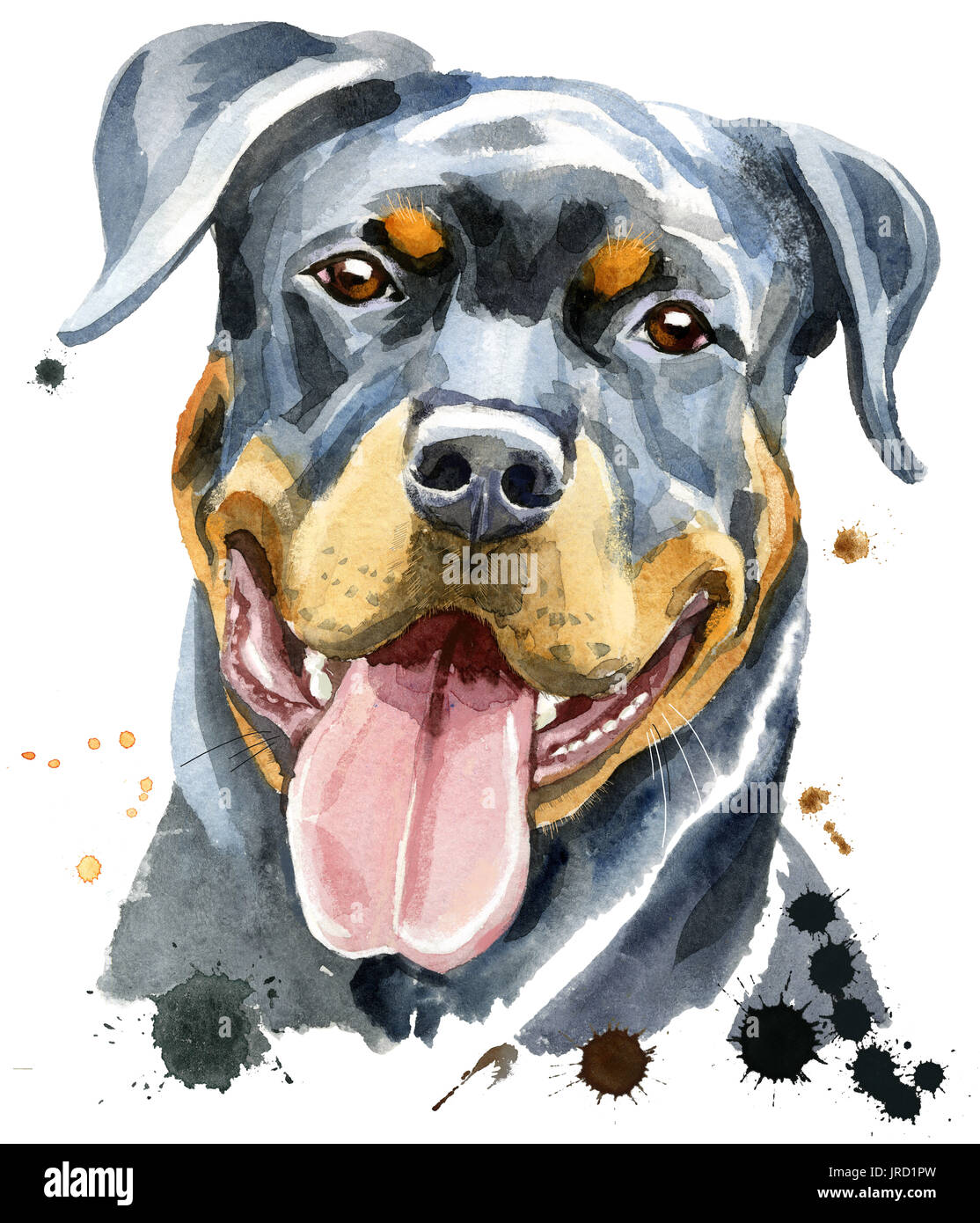 Rottweiler zeichnung -Fotos und -Bildmaterial in hoher Auflösung – Alamy