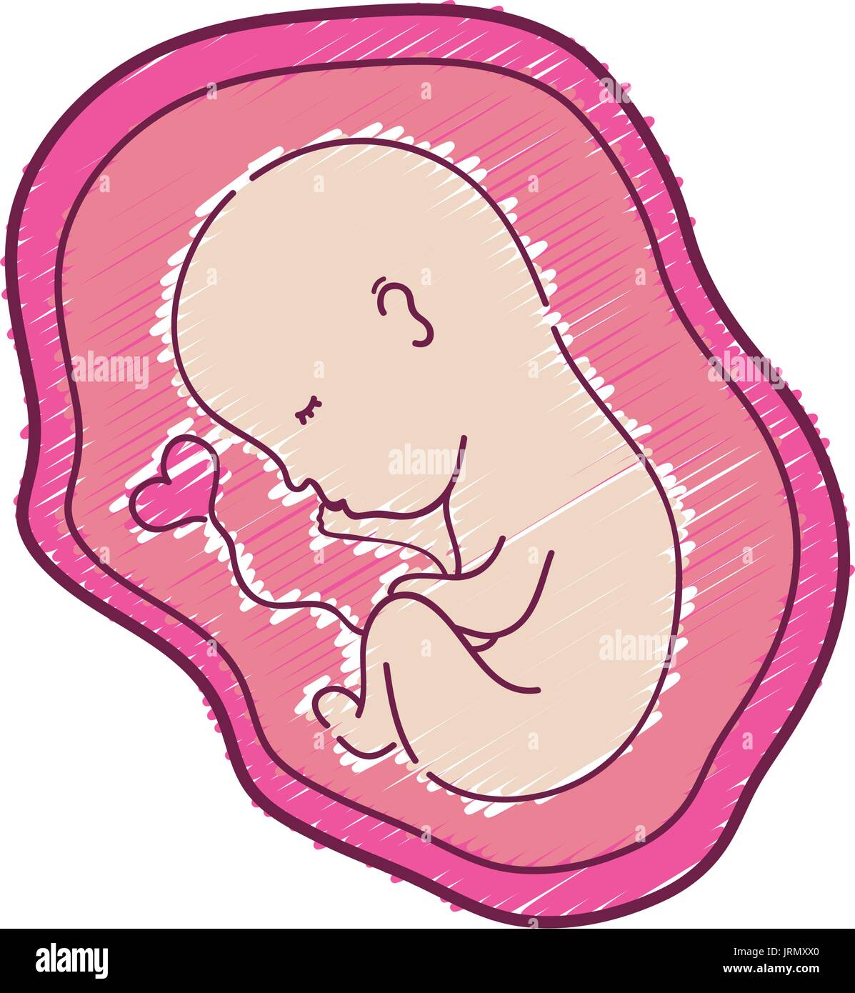 Baby mit Nabelschnur in Gebärmutter Stock-Vektorgrafik - Alamy