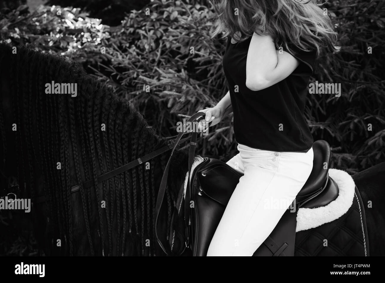 Woman Riding Friesian Horse In Stockfotos & Woman Riding Friesian Horse ...