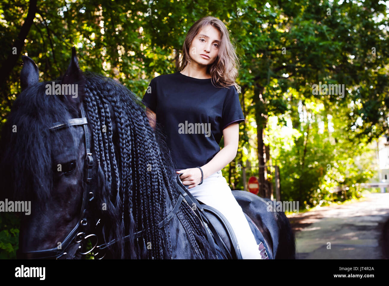 Portrait Black Thoroughbred Horse Stockfotos und -bilder Kaufen - Alamy