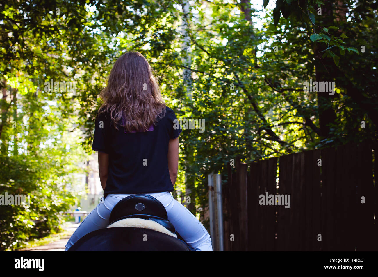 Woman riding friesian horse -Fotos und -Bildmaterial in hoher Auflösung ...