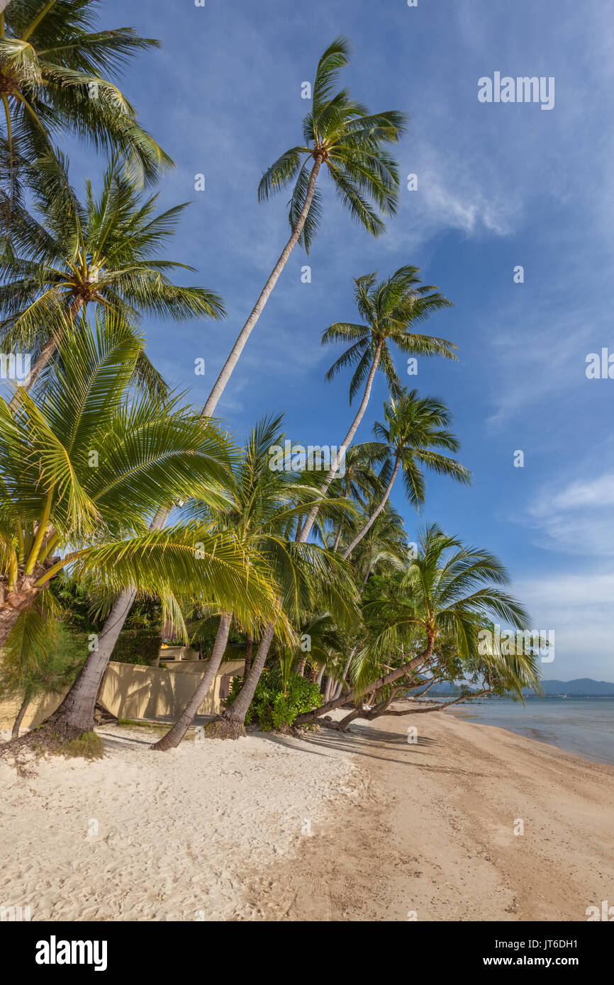 Nathon strand -Fotos und -Bildmaterial in hoher Auflösung – Alamy