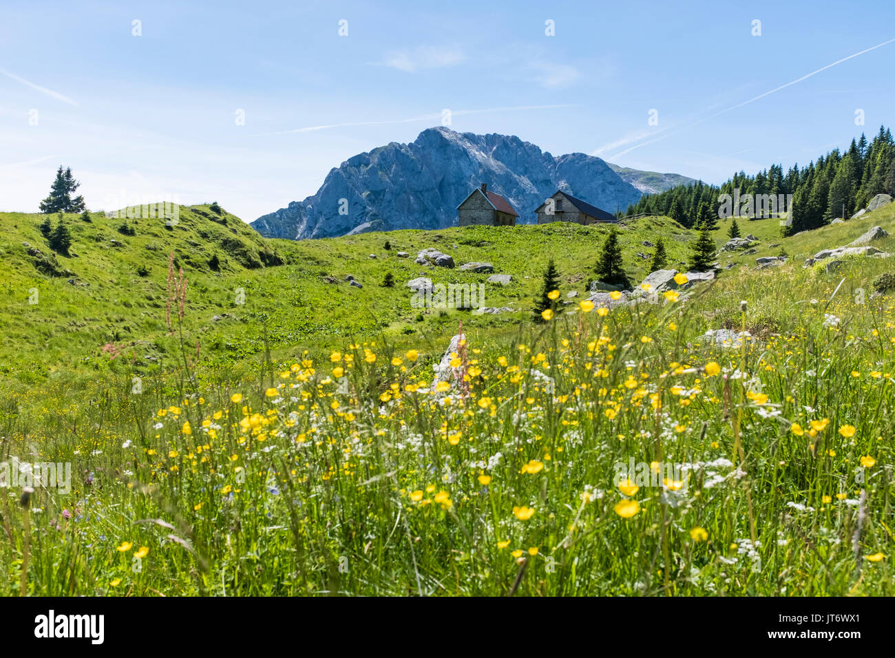Auernig alm -Fotos und -Bildmaterial in hoher Auflösung – Alamy