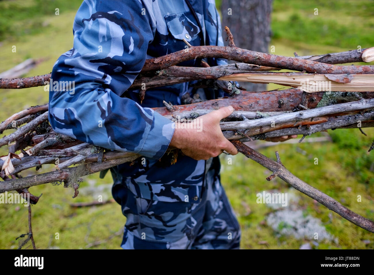 Wald und reisig -Fotos und -Bildmaterial in hoher Auflösung – Alamy