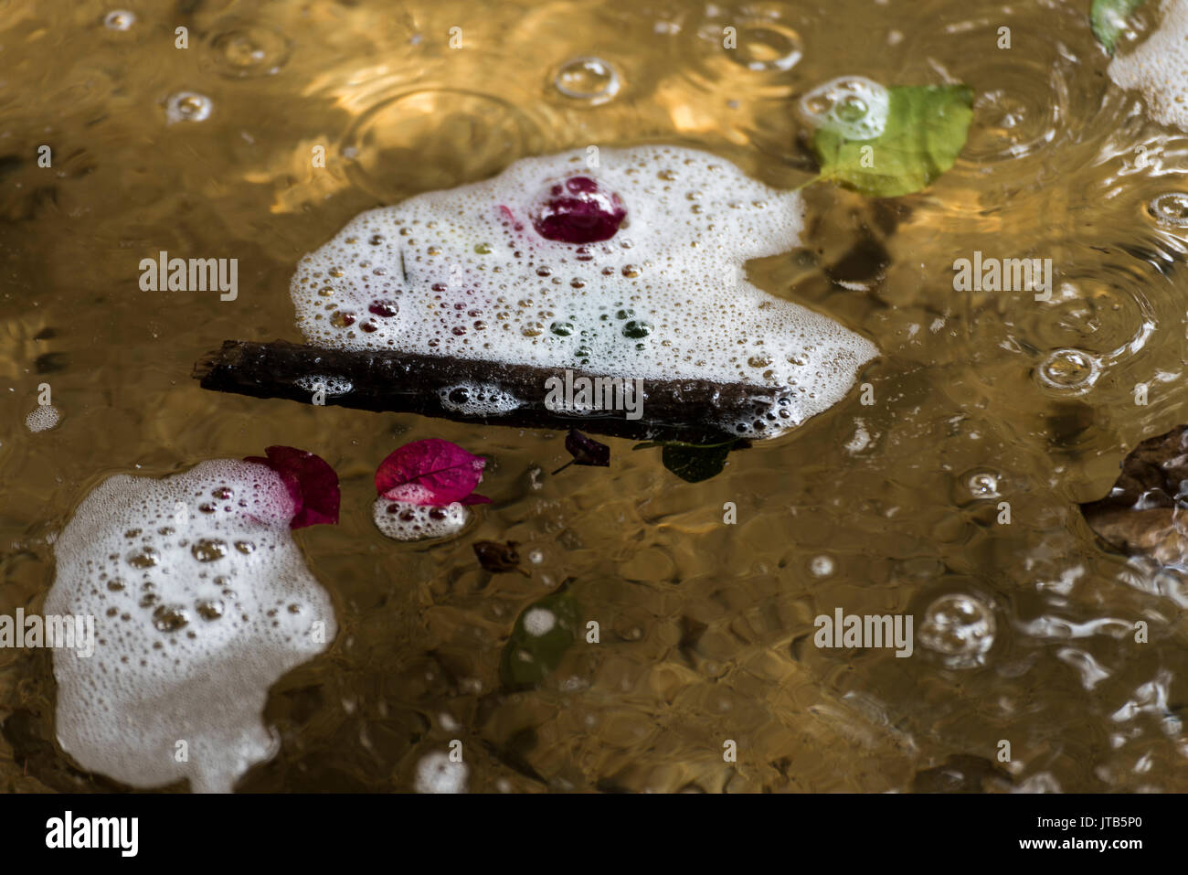 Brunnen schmutziges Wasser sammeln mit Blume und Baum Abfälle in Addis ...