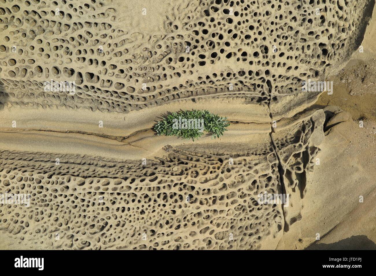 Lava gestein löcher -Fotos und -Bildmaterial in hoher Auflösung – Alamy