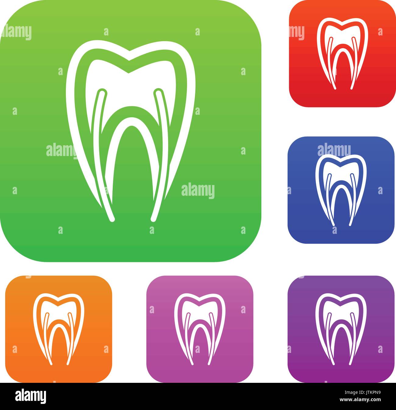 Zahnmedizin anatomie querschnitt Stock-Vektorgrafiken kaufen - Alamy