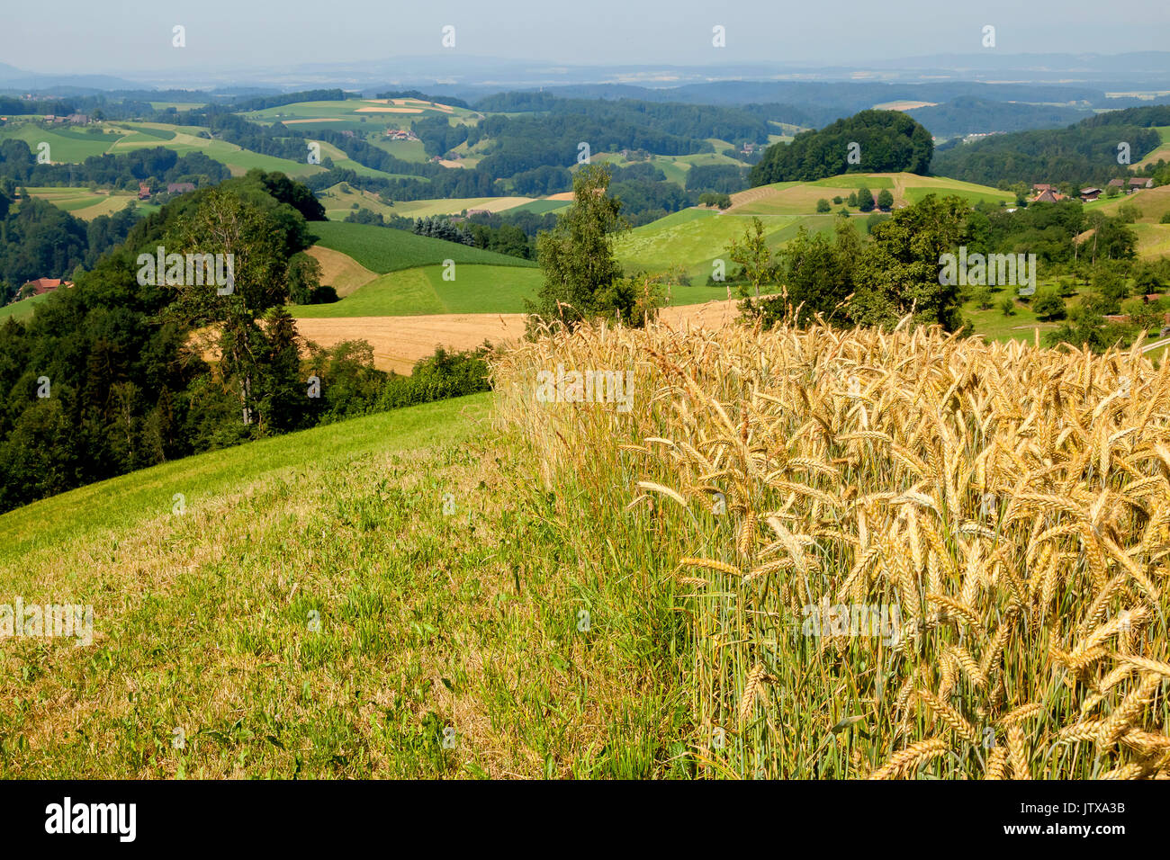 Landschaft im Emmental (berühmt für Käse), Schweiz Stockfotografie - Alamy