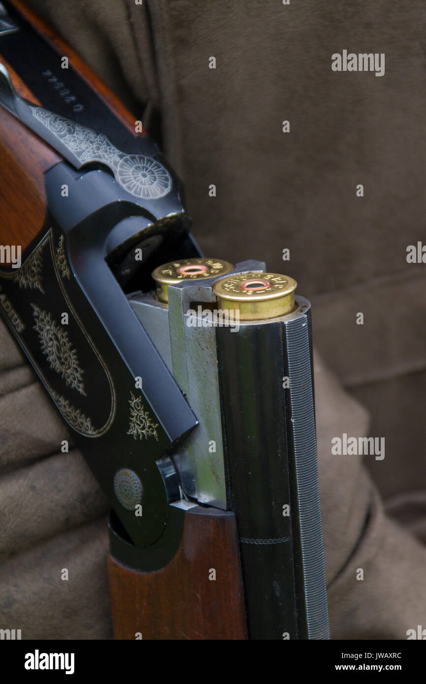Jagd schrotflinte -Fotos und -Bildmaterial in hoher Auflösung – Alamy