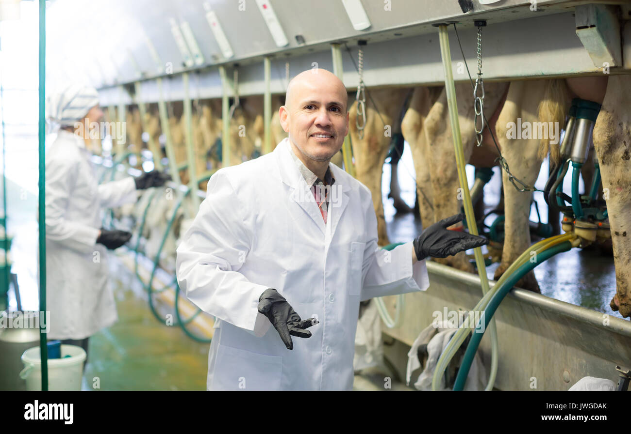 Melkerin im kuhstall -Fotos und -Bildmaterial in hoher Auflösung – Alamy