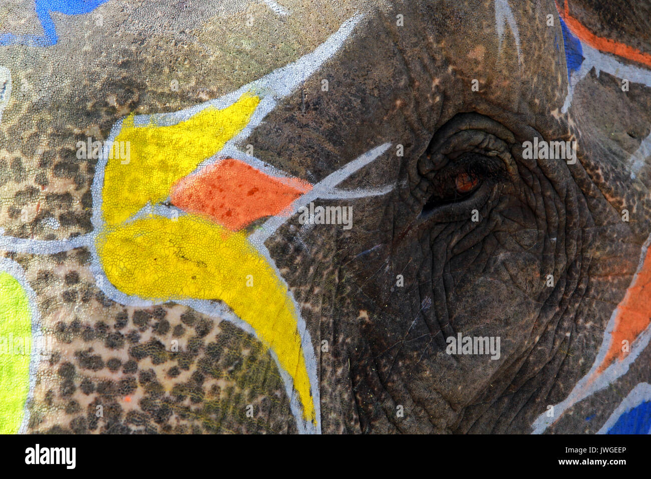 Elefant gemalt -Fotos und -Bildmaterial in hoher Auflösung – Alamy