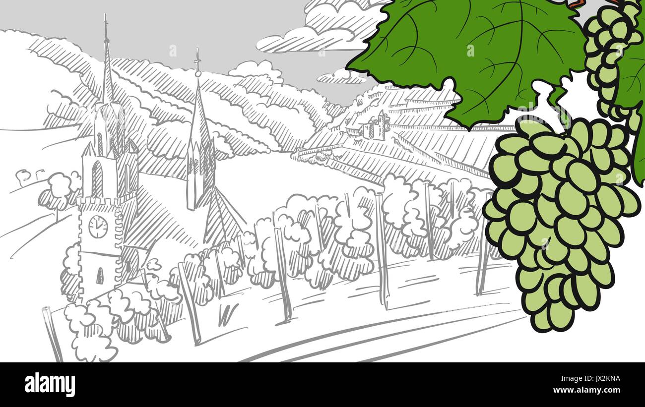 Bunch of grapes sketch -Fotos und -Bildmaterial in hoher Auflösung ...