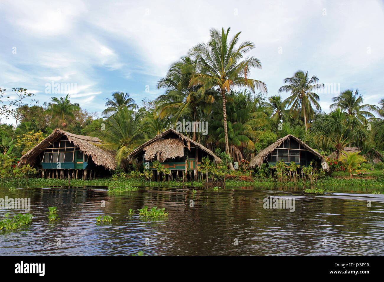 Fluss orinoco -Fotos und -Bildmaterial in hoher Auflösung – Alamy