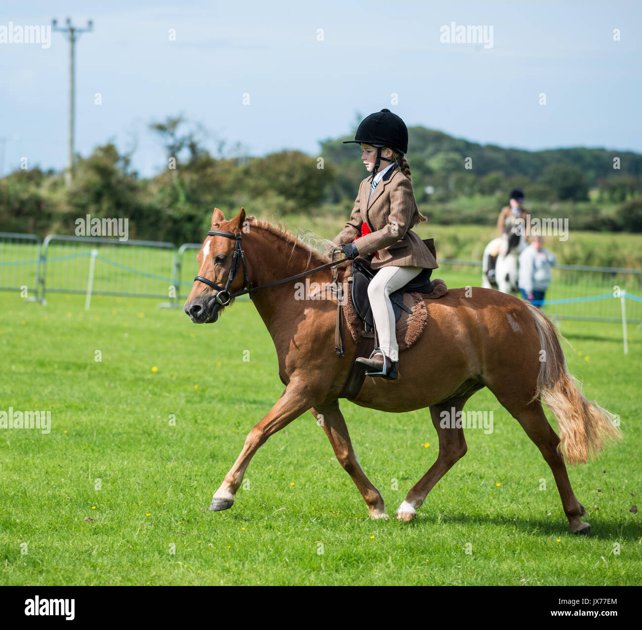 Dressur reiten mädchen -Fotos und -Bildmaterial in hoher Auflösung – Alamy