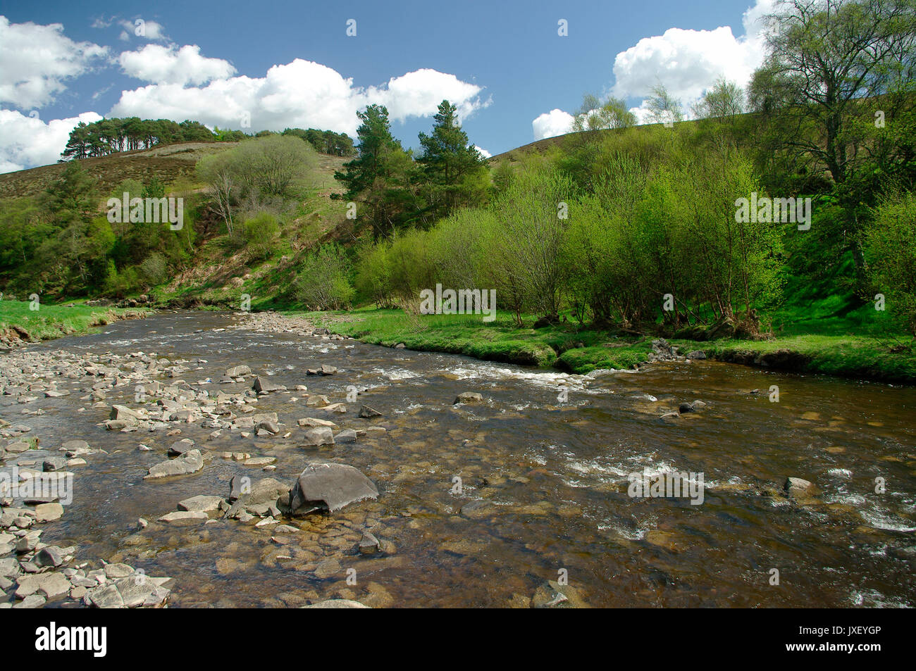 Fluss whiteadder -Fotos und -Bildmaterial in hoher Auflösung – Alamy
