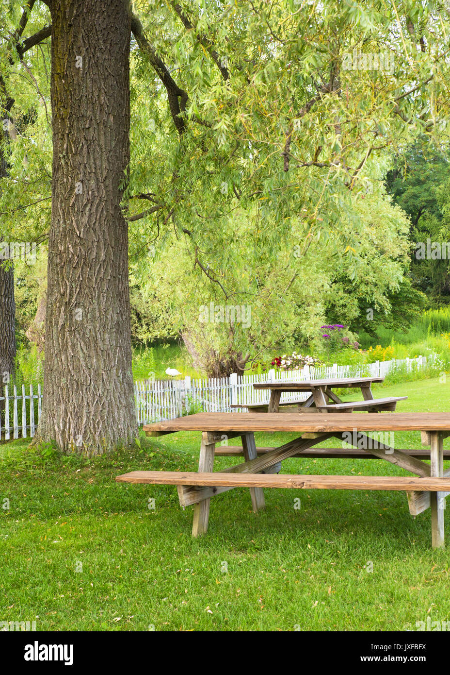 Szenischer tisch -Fotos und -Bildmaterial in hoher Auflösung – Alamy