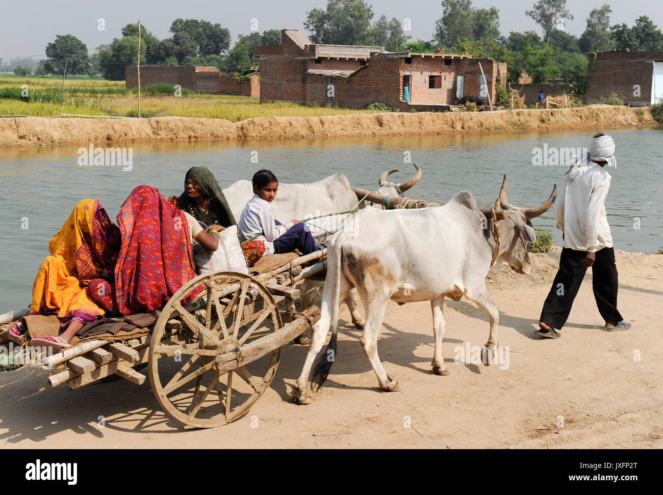 Kasten indien -Fotos und -Bildmaterial in hoher Auflösung – Alamy