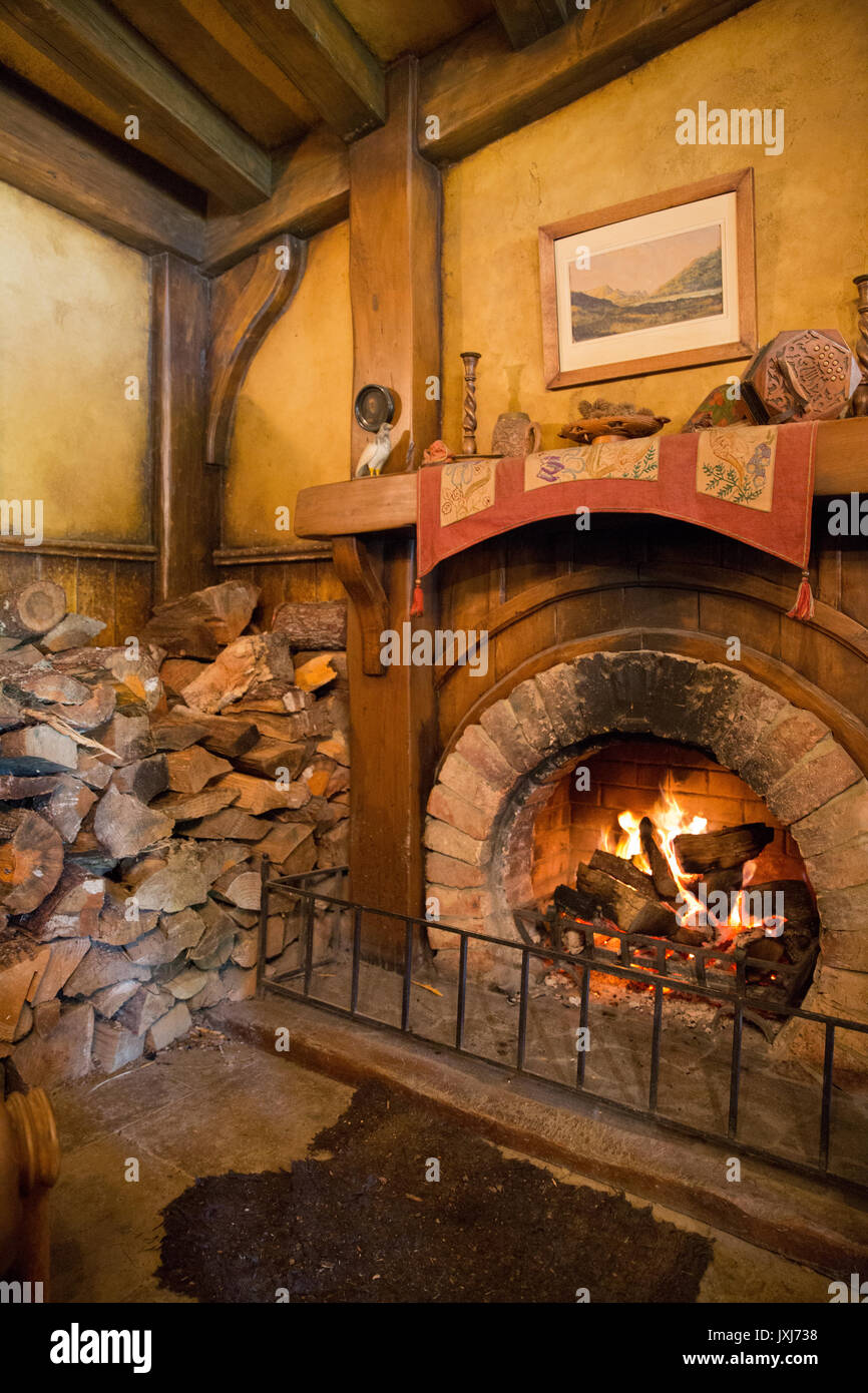 Lebende drachen -Fotos und -Bildmaterial in hoher Auflösung – Alamy