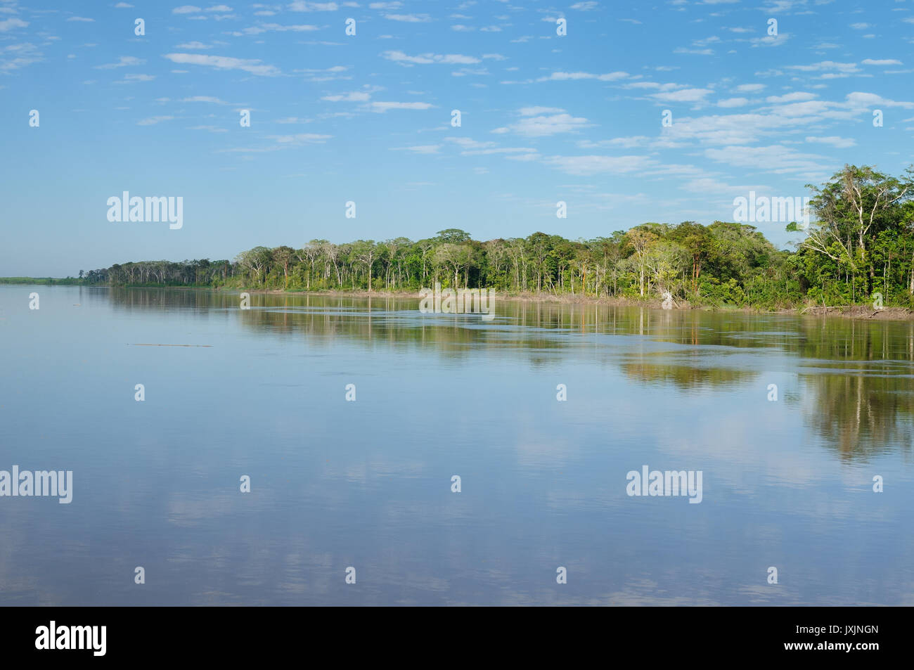 Selva peruana Stockfotos und -bilder Kaufen - Alamy