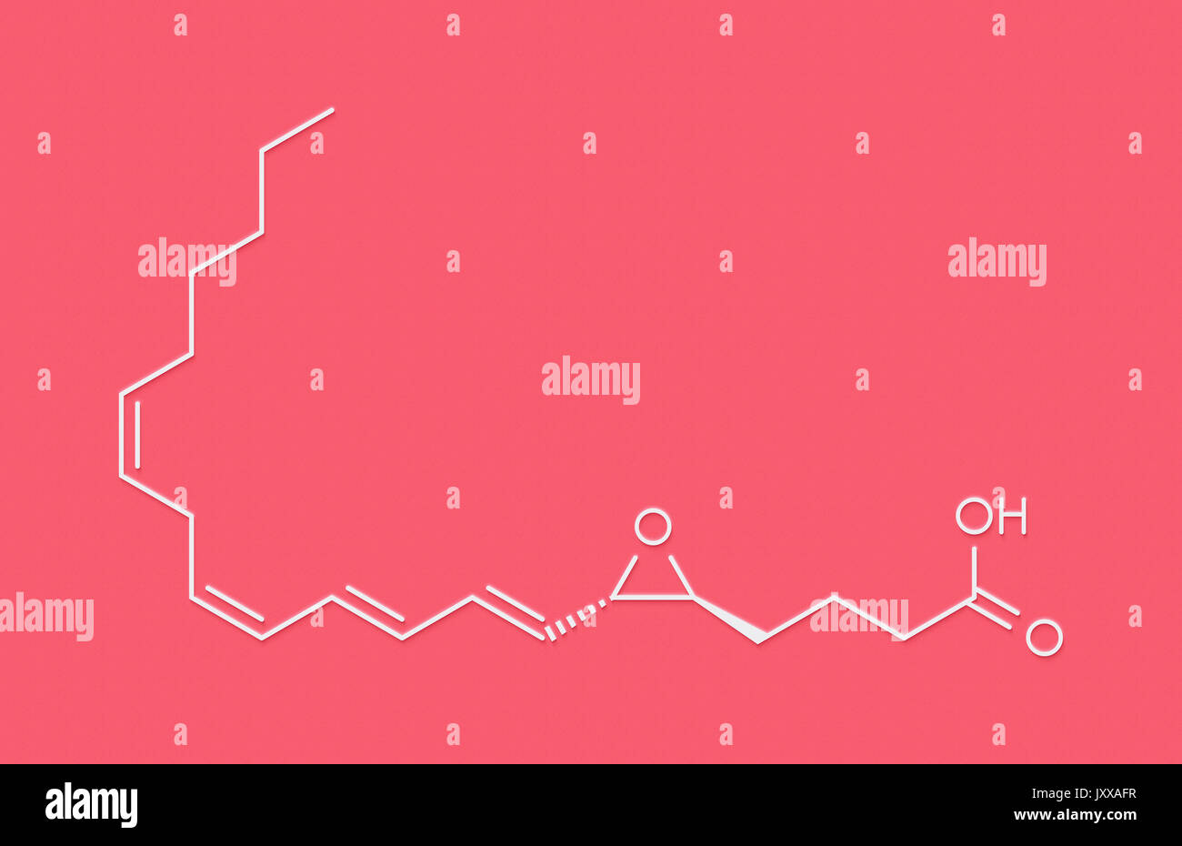 Leukotrien a4 -Fotos und -Bildmaterial in hoher Auflösung – Alamy