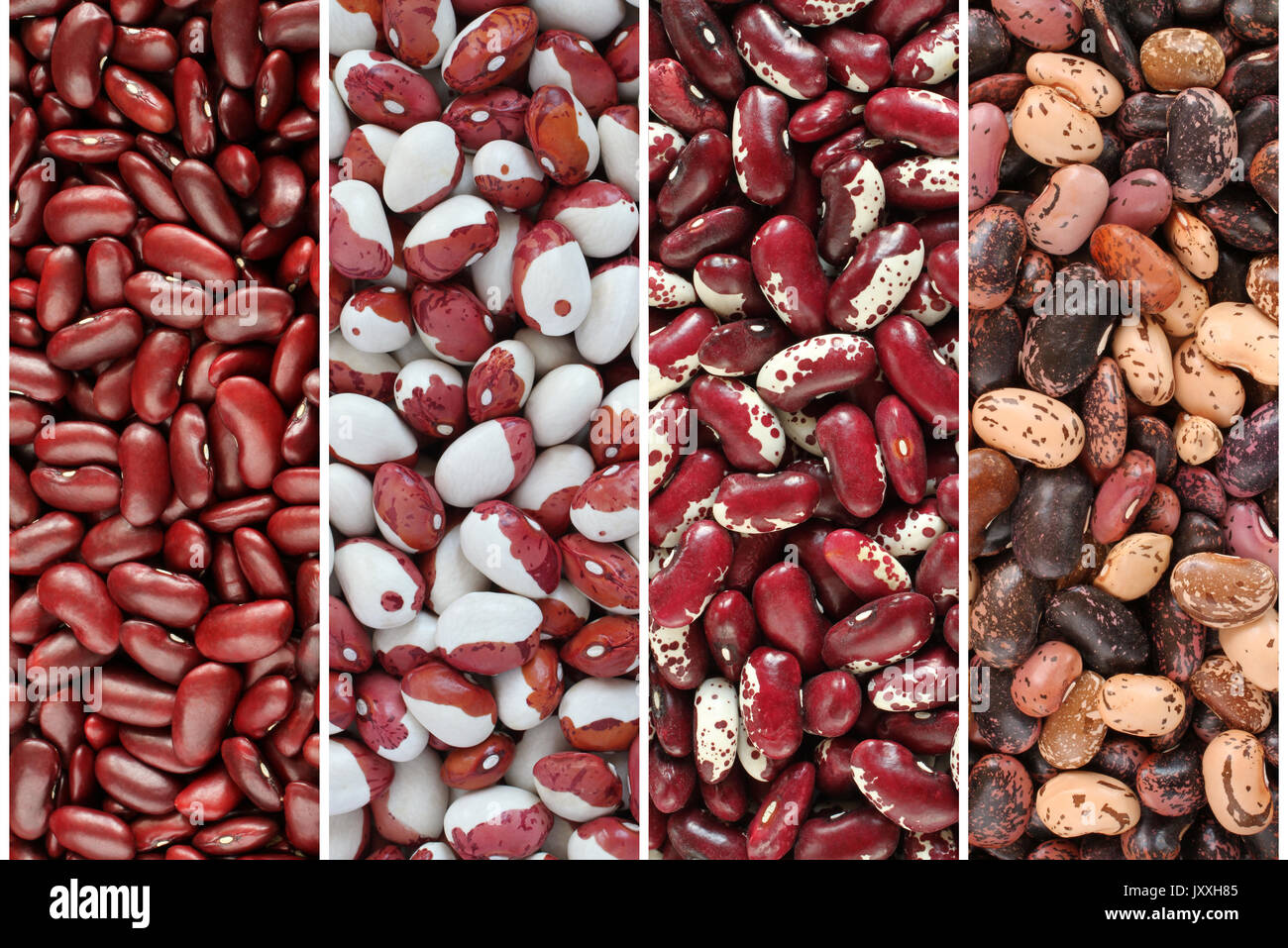 Bohnen collage-raw-lila, rosa mit Braun, Beige mit braun, weiß mit rot ...