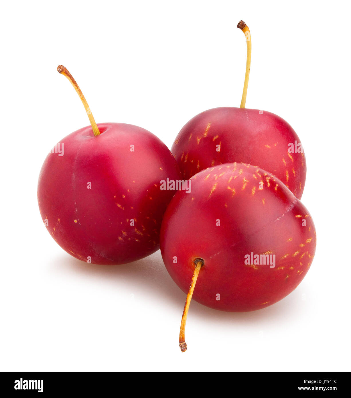 Chinese plums -Fotos und -Bildmaterial in hoher Auflösung – Alamy