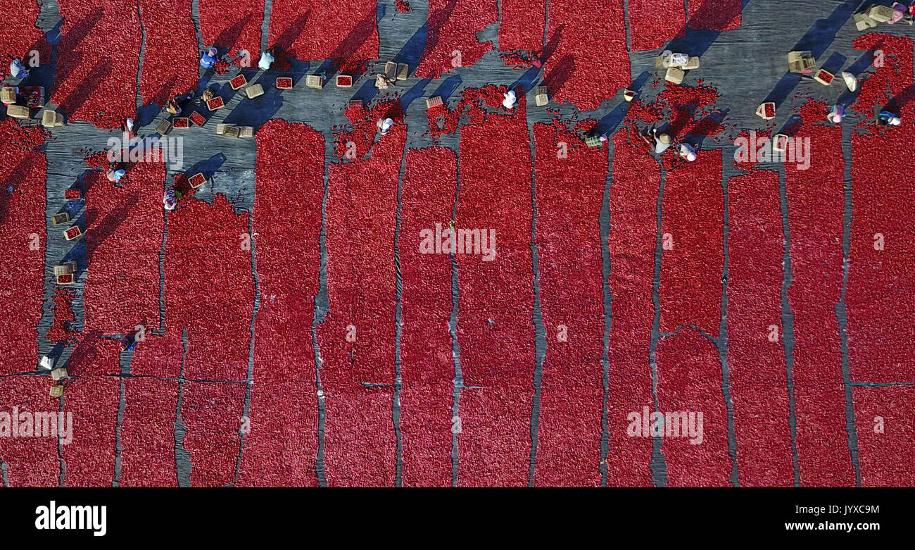 Bayingolin, China Autonome Region Xinjiang Uygur. 20 Aug, 2017. Die ...