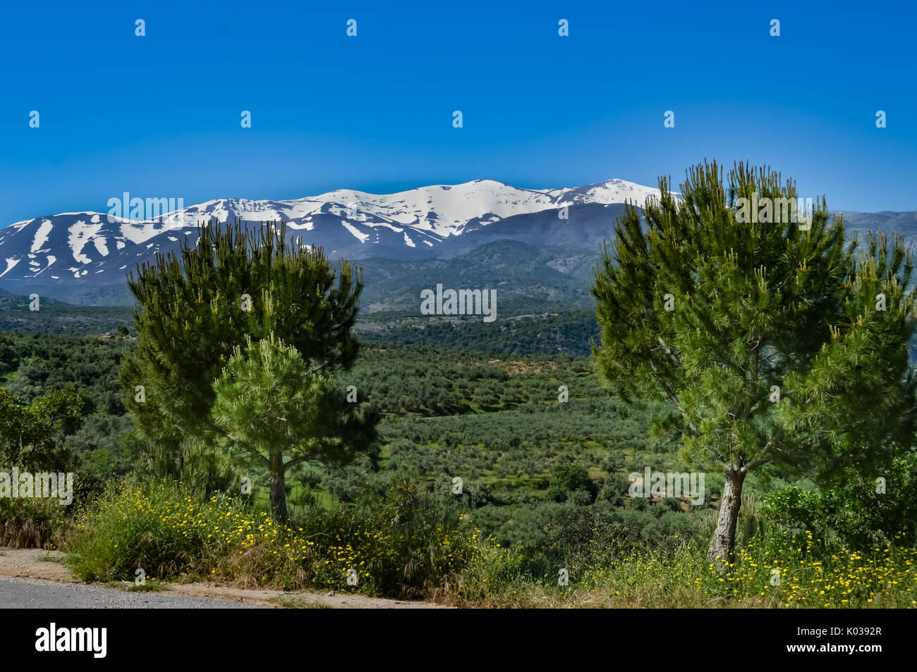 Hintergrund ida berge -Fotos und -Bildmaterial in hoher Auflösung – Alamy