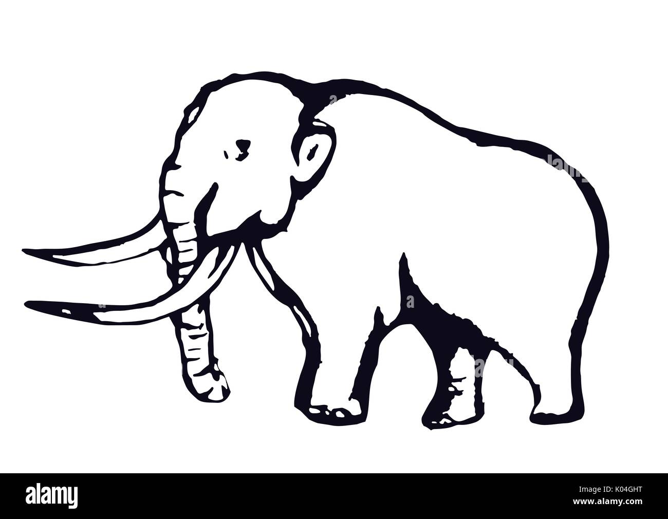 Mammut Outline, Kontur hand Zeichnung, Skizze, auf einem weißen ...